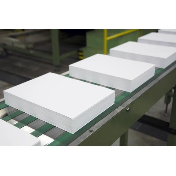 Quality 100% Virgin Soft Wood Pulp A4 Copy Paper 70/80GSM for sale