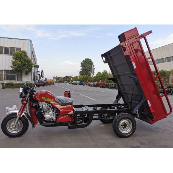 Quality Water Cooling Petrol 175cc Cargo Motor Tricycle for sale