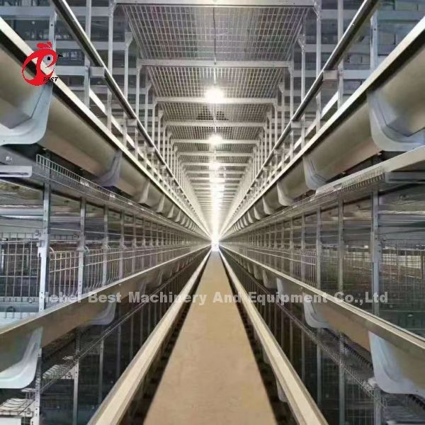 Quality A Type Layer Chicken Battery Cage Full Automatic For Large Farm Adela for sale