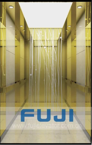 Quality Hairline Stainless Steel House Elevator Lift for sale