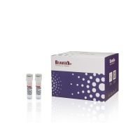 Quality BeaverBeads™ Nucleic Acid Kit PCR Purification Reagent For Recovering DNA And for sale