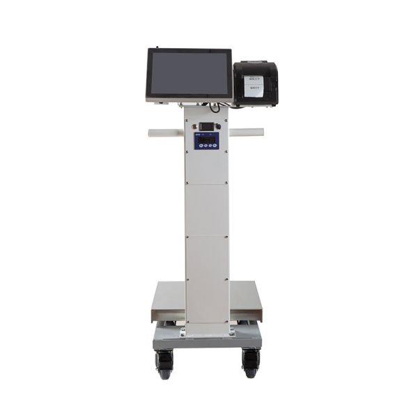 Quality Storage Solution SOHE Y15W Smart Scale with 800kg Load Capacity and Touch Screen Interface for sale