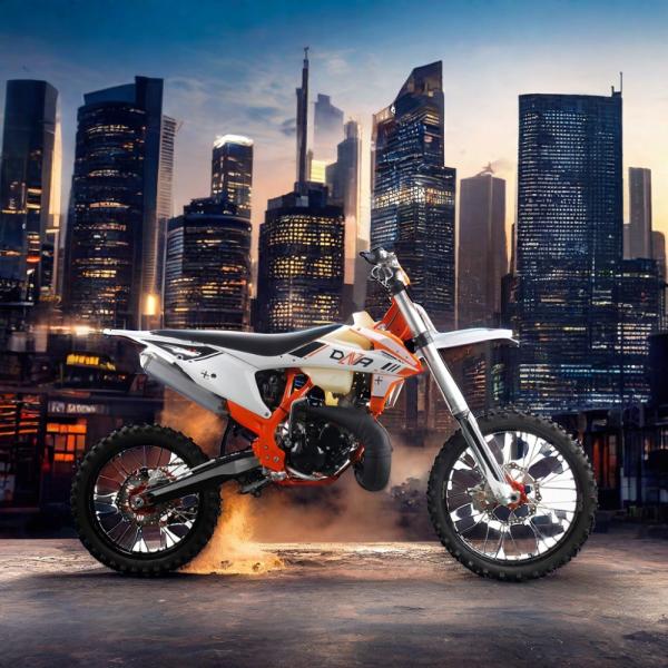 Quality 2 Stroke Engine Chain Drive Adult Motorcycle 250cc Off-Road Motocross Motorbike for sale