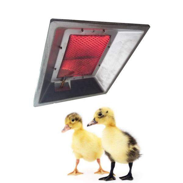 Quality Purple Horn2606 Poultry Brooder Heater Chicken House Infrared Catalytic Gas Brooder for sale