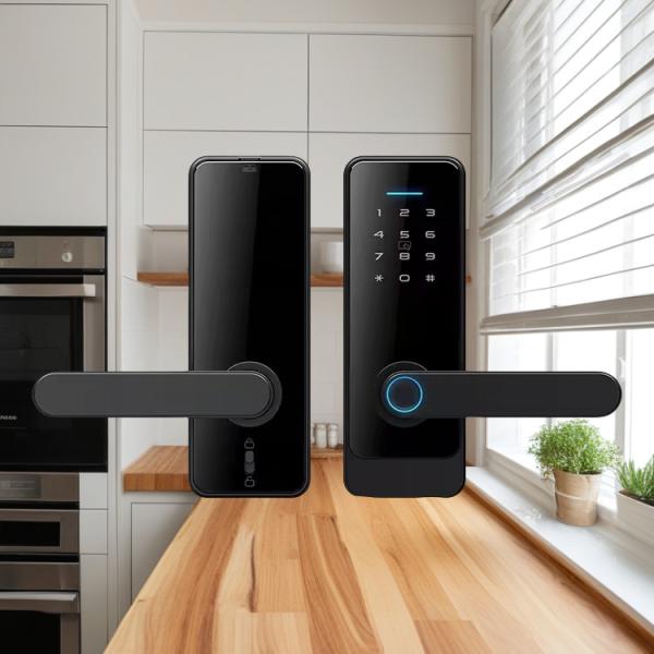 Quality Remote Control Fingerprint Door Lock Automatic Password Front Door Lock 35mm - for sale