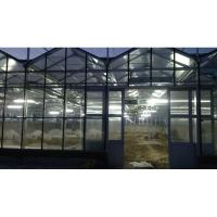 Quality High Strength Agricultural Poly Tunnel Green House/Tomato Greenhouse for sale