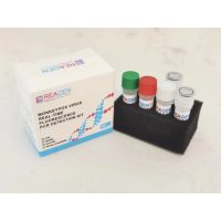 Quality High Sensitivity Monkeypox PCR Test Kit Fluorescence Real Time PCR Detection Kit for sale