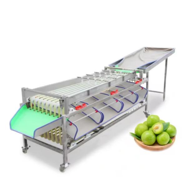 Quality Hotels Benefit From Fruit Weight Selecting And Automatic Fruit Size Grader For for sale
