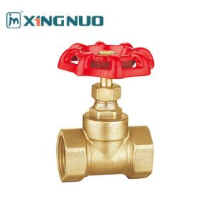 Quality High Quality 1/2 Inch 3/4 Inch Brass Gate Valve CE for sale