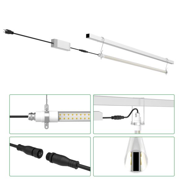 Quality Interlight Greenhouse LED Grow Light For High Wire Crops Boost Yield for sale