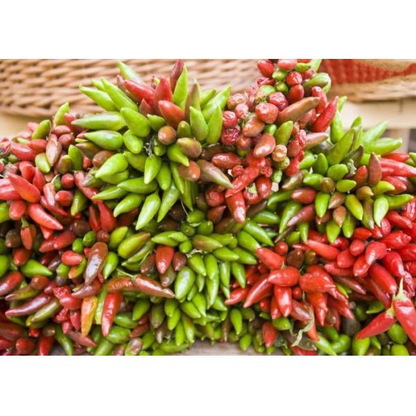 Quality GMP Dried Birds Eye Chilli Peppers Chinese With Seeds 15000SHU for sale