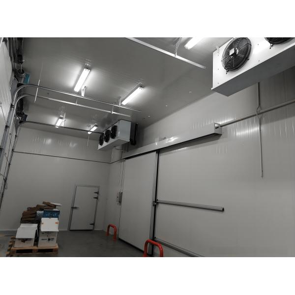 Quality Commercial Freezer Cold Room Stainless Steel / Color Steel Freezer Storage Room for sale