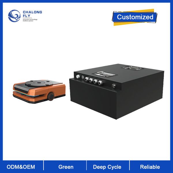 Quality Custom Removable LiFePO4 Lithium Battery Pack for E-scooter with High Discharge Rate for sale