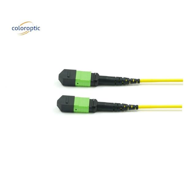 Quality Passive Optical Single Mode Patch Cord MPO-12 / APC-To-MPO12 / APC for sale