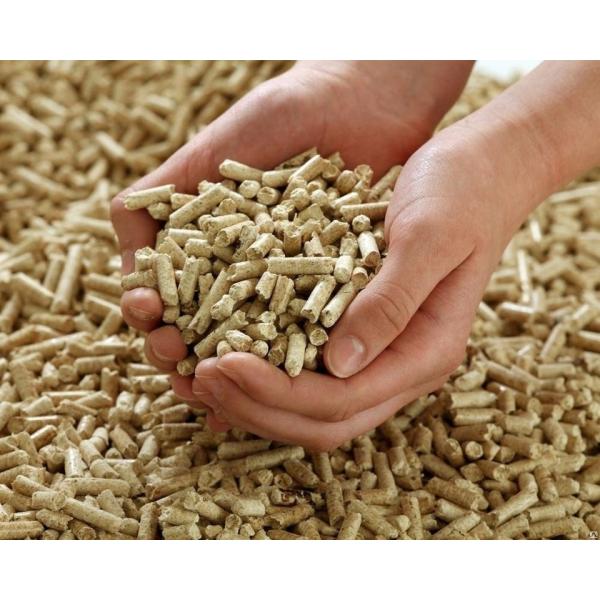 Quality Rabbit Poultry Feed Pellet Machine 50HZ 3mm 12mm for sale