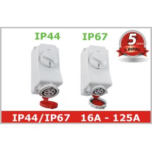 Quality IP44 IP67 Industrial Power Socket Receptacles with Mechanical Interlock for sale
