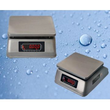 Quality 1/2g 2/5g Division Electronic Digital Weighing Scale for sale