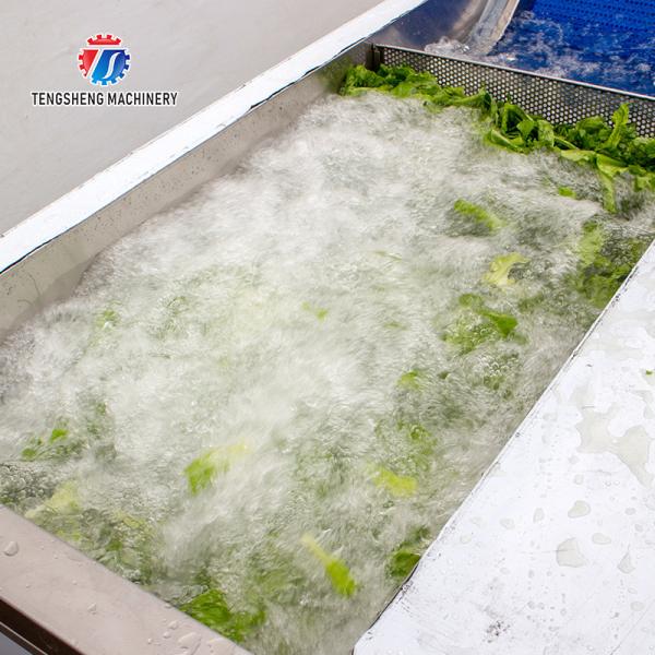 Quality 380V Integrating Spinach Washing Machine , Blasting Isolating Potato Cleaning for sale