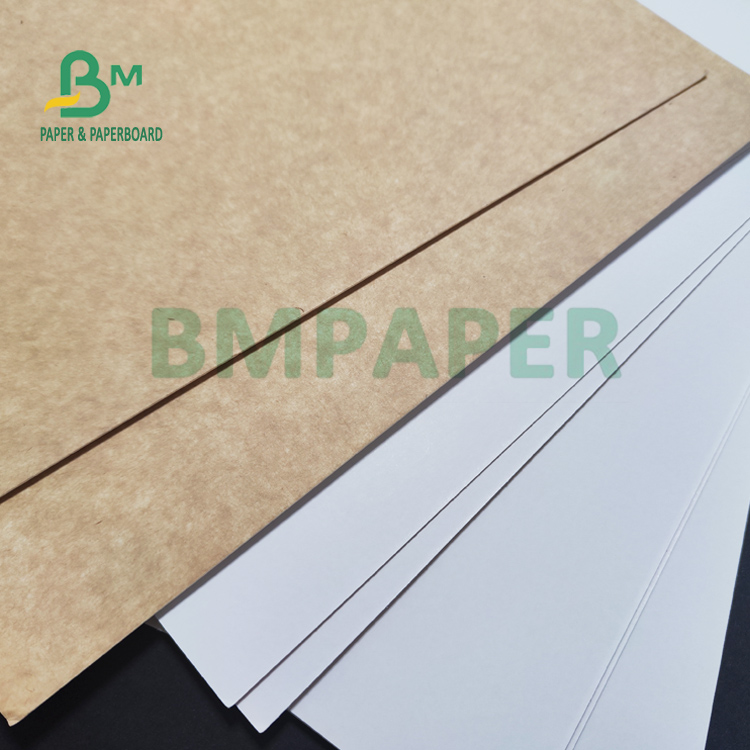 325gsm Uniform White Coated Kraft Back Paper For Packing Bread 70 x 100cm