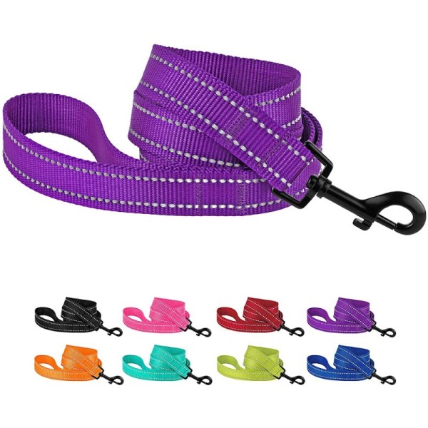 Quality Heavy Duty Nylon Dog Leash for sale