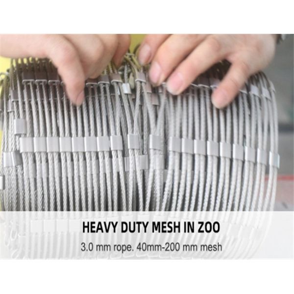 Quality 20 Years Use Green Wall Climbing Wire Rope Mesh 30m 40m 50m 100m Length for sale