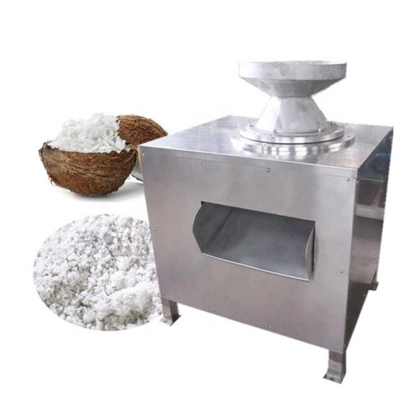 Quality Low Noise Electric Coconut Grater No Shake Coconut Milk Powder for sale