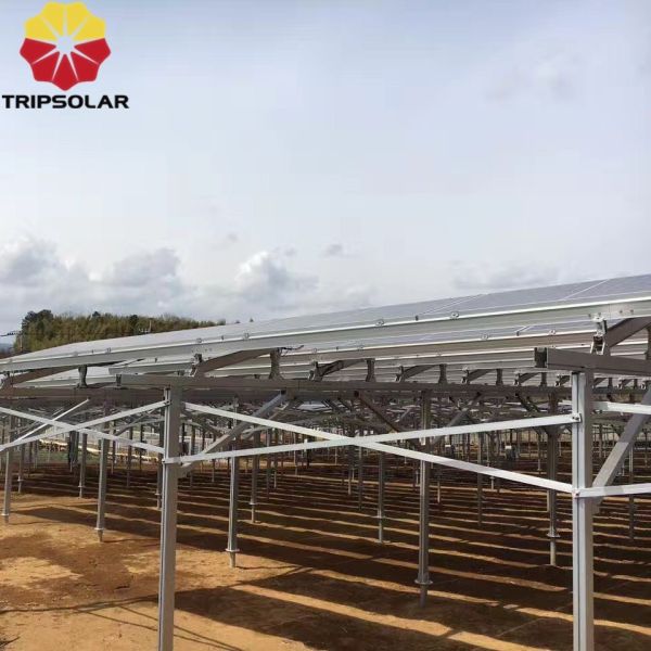 Quality Open Fields Installation Site Solar Array Ground Mount System with Custom Design for sale