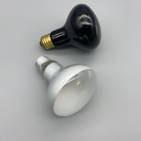 Quality Moonlight Zoo Med 150 Watt Basking Bulb For Spider Snake Chameleon for sale