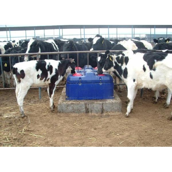 Quality LLDPE Livestock Water Trough for sale