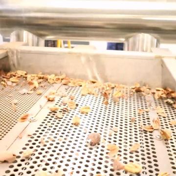 Quality CE Certified Dry Cracking Pecan Shelling Machine 100000 Nuts Capacity 220V for sale