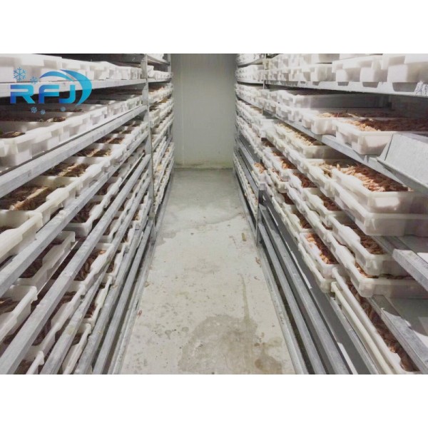 Quality Fresh Tuna Small Tunnel Plate Blast Walk In Freezer Industrial Seafood Iqf Cold Contact Panel for sale