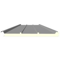Quality PU Roof Panel for sale