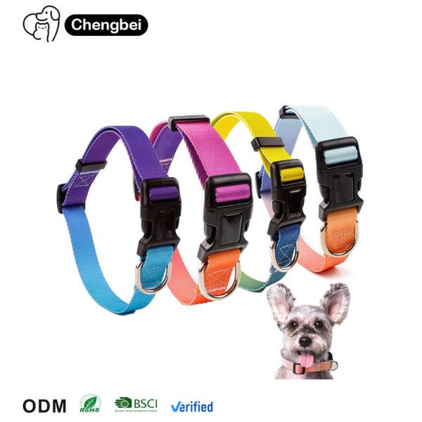 Quality Dog Collar Luxury Gradient Adjustable Reversible Solid Custom Logo Designer for sale