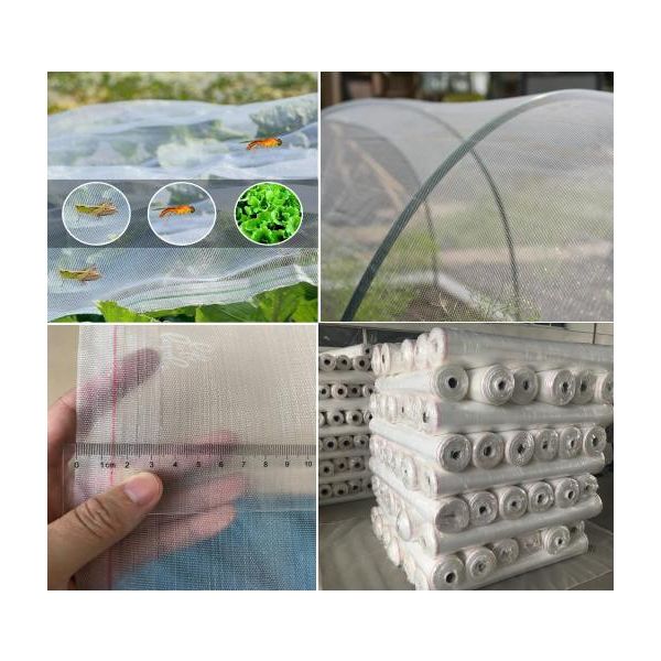 Quality White UV Treated Agriculture Insect Net 6M Plastic Anti Insect Netting for sale