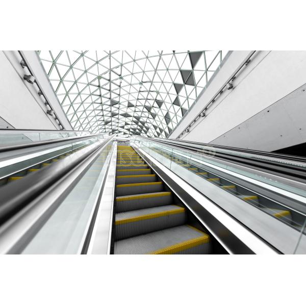 Quality VVVF Driving Shopping Escalator for sale