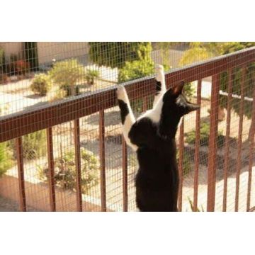 Quality Customized Mesh Size 10m X 3m White Balcony Protection Knotted Netting Cat for sale