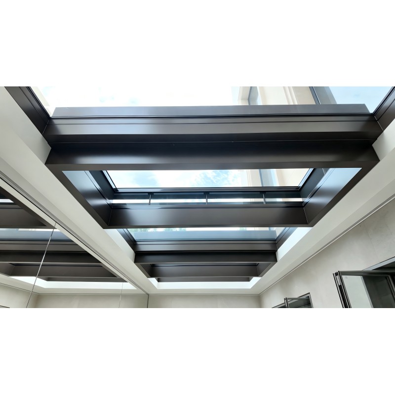 Quality DMS Rectangular Skylight for sale