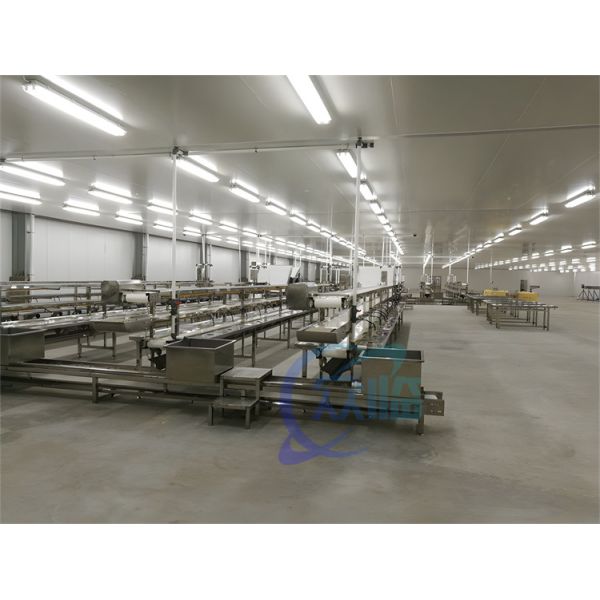 Quality 3KW Stable Shrimp Processing Machine 10000x1150x1550mm Practical for sale