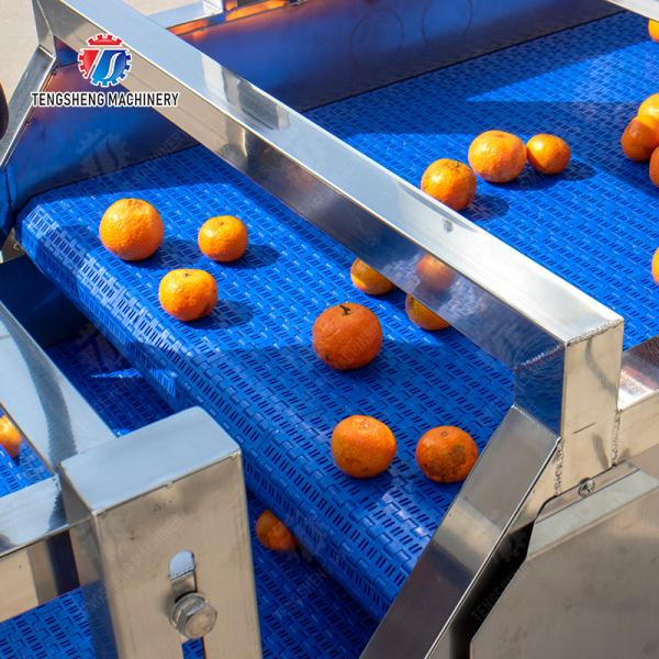Quality vegetable drying equipment Fruit and vegetable selection washing and drying for sale