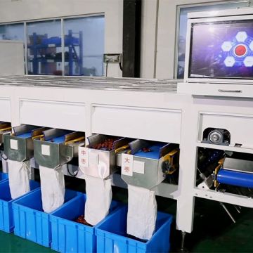 Quality Precise Red Dates Sorting Machine 380V Stainless Steel 1 T/H Intelligent for sale