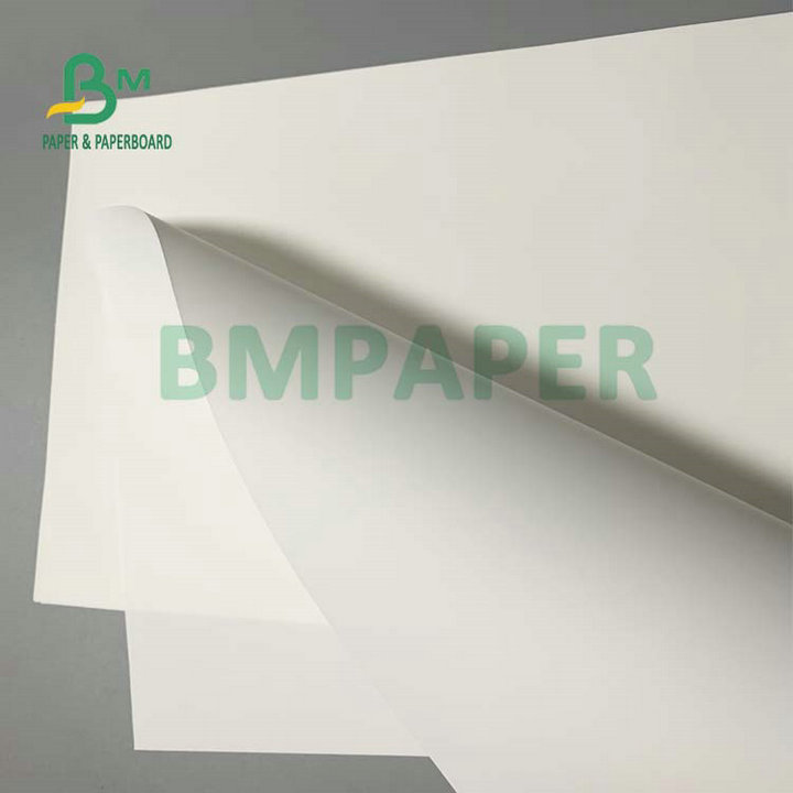 150g 200g Backside Matte Synthetic Paper A4 A3 Inkjet Printing  