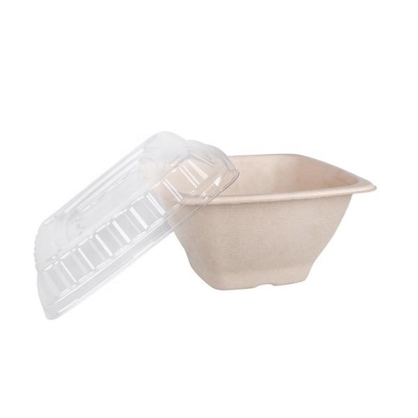Quality 16 24 32oz Biodegradable Sugarcane Bagasse Bowl Fruit Salad Containers Box With for sale