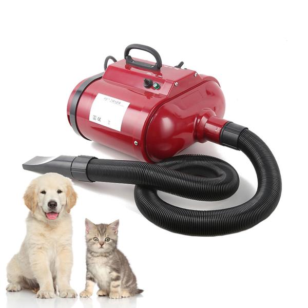 Quality Red Eco Friendly Dog Blow Dryer Easy Cleaning AC 240V Dog Grooming Blower for sale