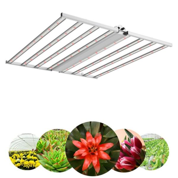 Quality High PPFD 2.8umol/J Marijuana LED Grow Lamps For Vertical Farming for sale