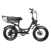 Quality Rear Carrier Battery Position Fat Tire Dual Electric Cycle E-Bike for Adult City for sale