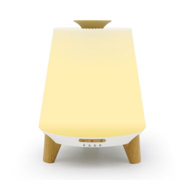 Quality 300ML Portable Smart APP Wifi Control Aroma Diffuser for sale