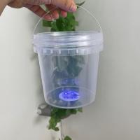 Quality Customize 32 oz Candy Container 1L Clear Bucket with Led light Popcorn Plastic for sale