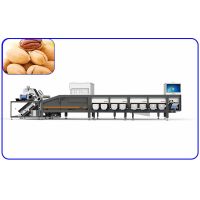 Quality Agricultural Pecan Sorting Equipment 16 Channel For Size And Damage for sale
