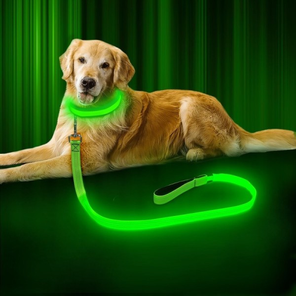 Quality USB Rechargeable LED Dog Leash 47.2 Inch 120cm Reflective Night OEM ODM Available for sale