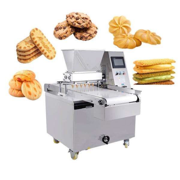 Quality Functional Stainless steel mini machine biscuit making machine automatic cookies for sale